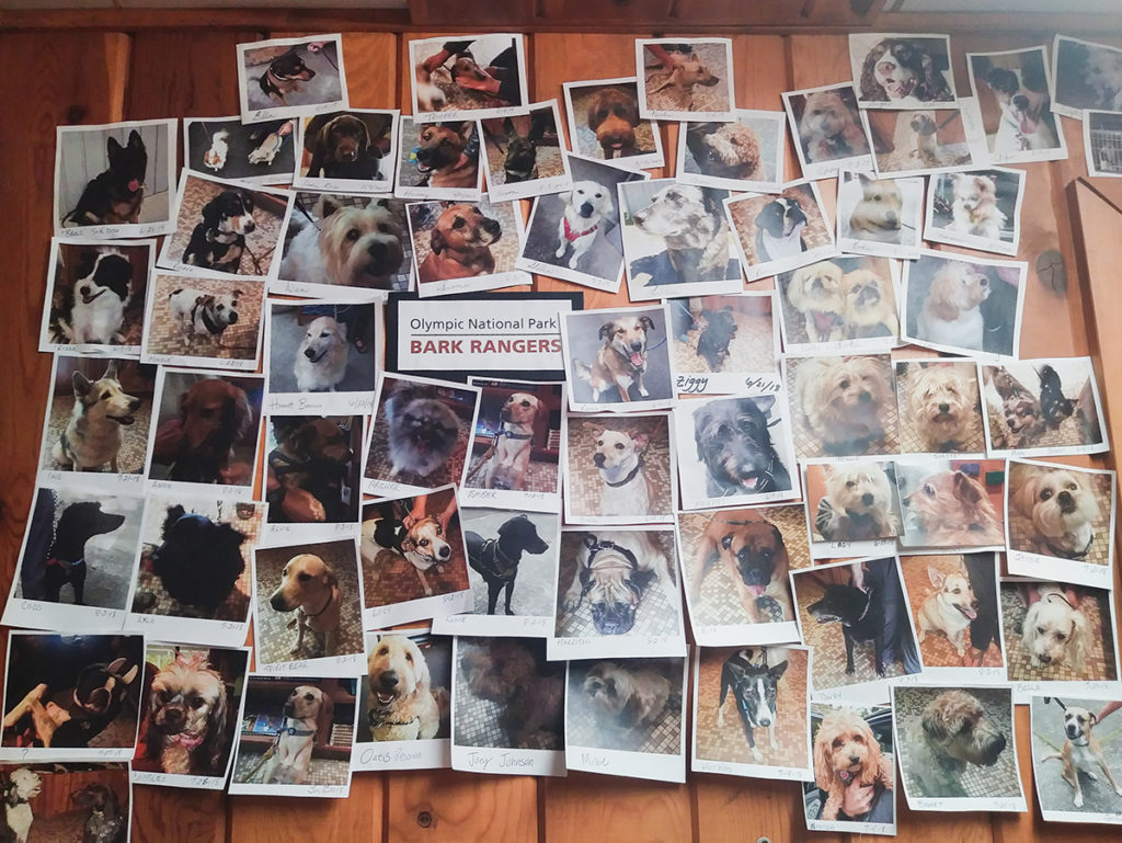 National Park Paws is dog info for American National Parks & protected ...